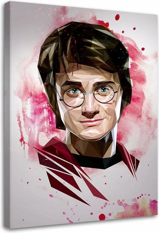 Obraz na plátně, Harry Potter 40x60