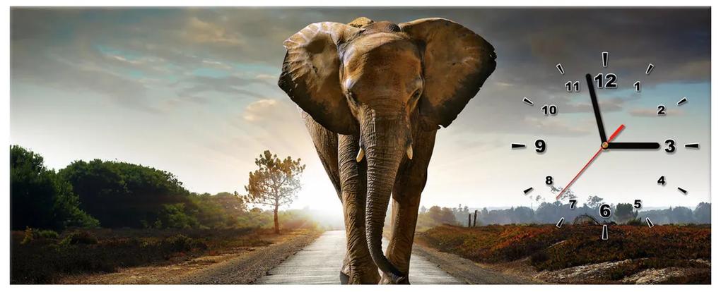 Gario Obraz s hodinami Osamělý silný slon Rozměry: 40 x 40 cm
