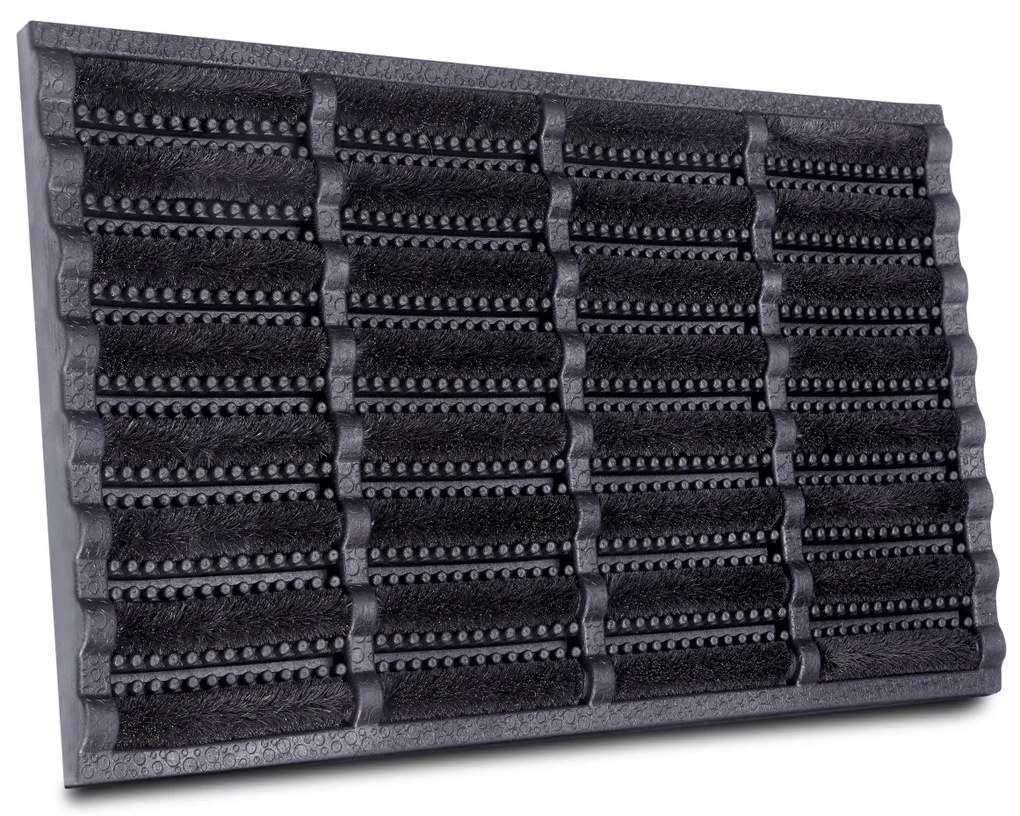 Hanse Home, Venkovní čistící rohož Mix Mats Brushes 105648 Black - na ven i na doma, 45x75, černá, exteriér