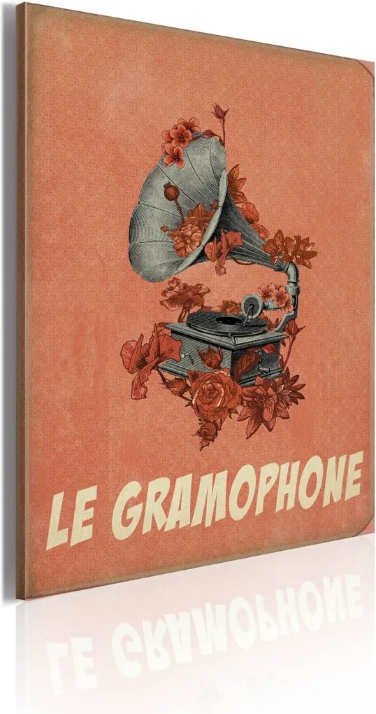 Obraz - Le gramophone - 50x70