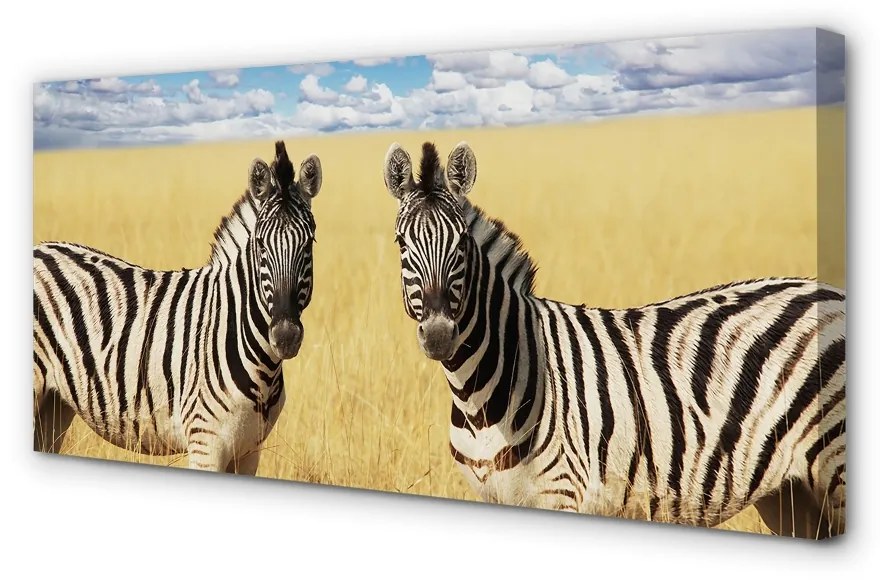 Obrazy na plátně zebra box 140x70 cm