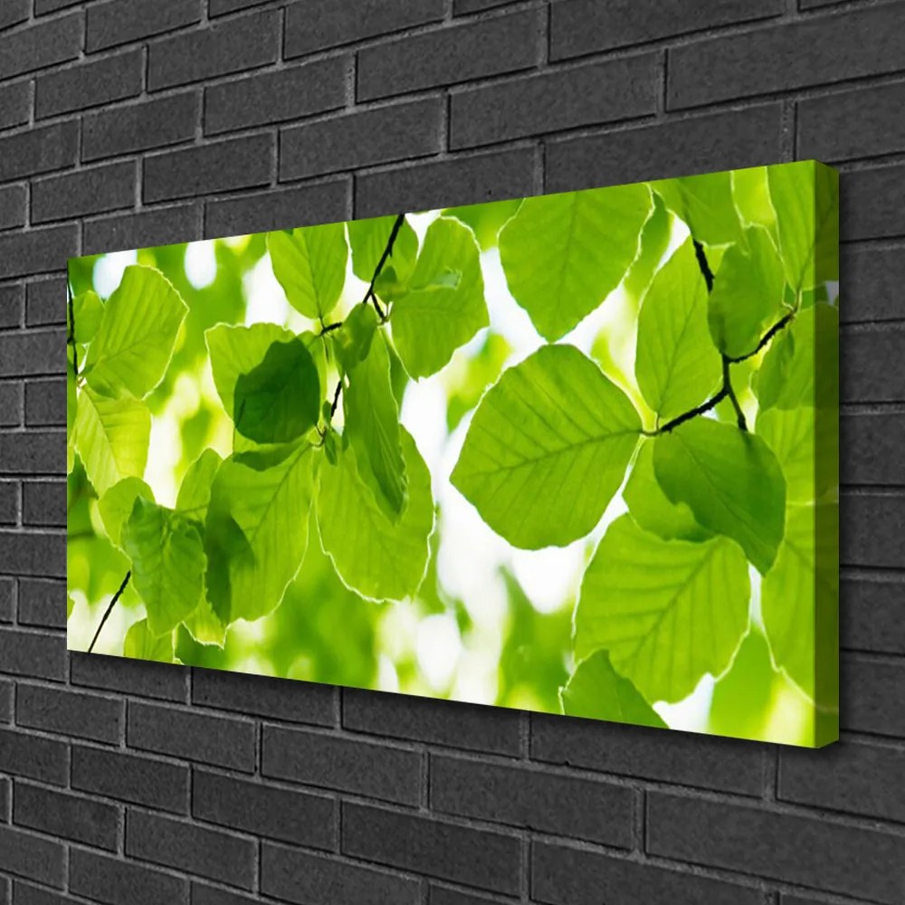 Obraz na plátně Listy Příroda Rostlina 125x50 cm