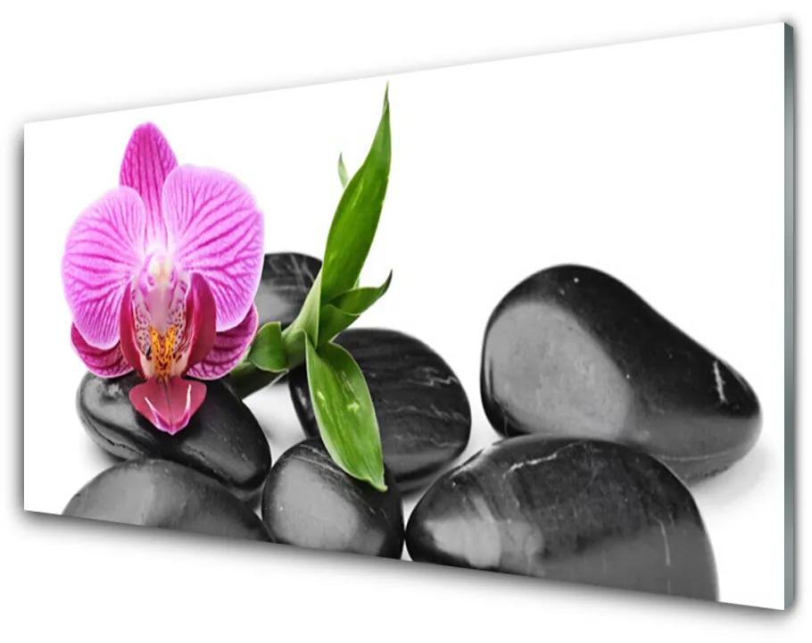 Kuchyňský skleněný panel Květ Kameny Umění 100x50 cm