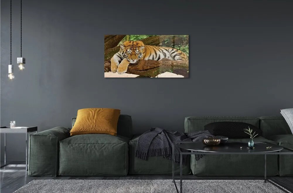 Obraz na skle tiger tree 120x60 cm