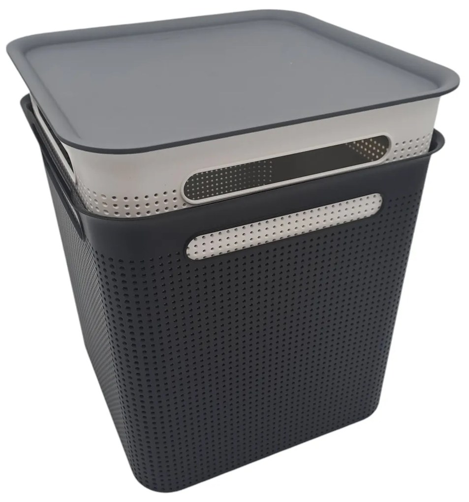 Rotho Úložný box s madly BRISEN 18l, 29x29x29cm, černý