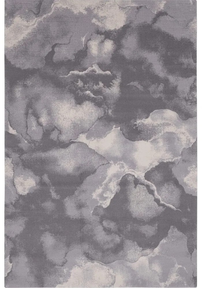 Šedý vlněný koberec 160x240 cm Cirrus – Agnella