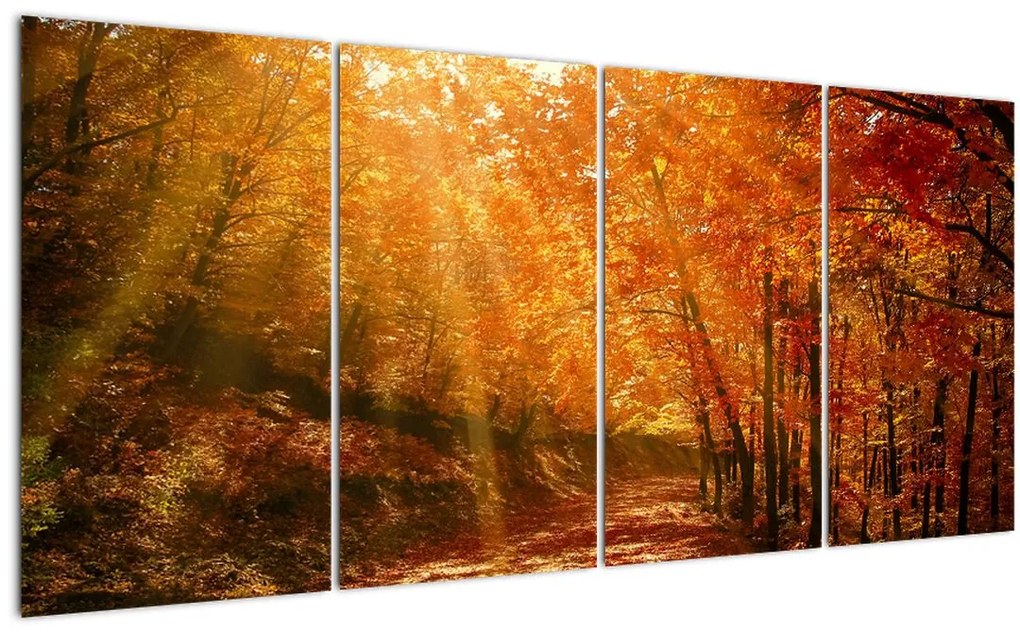 Obraz podzimního lesa (160x80 cm), 40 dalších rozměrů