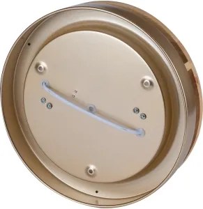 BRILAGI - Stropní svítidlo ORINO 2xE27/40W/230V pr. 27 cm zlatá/dub