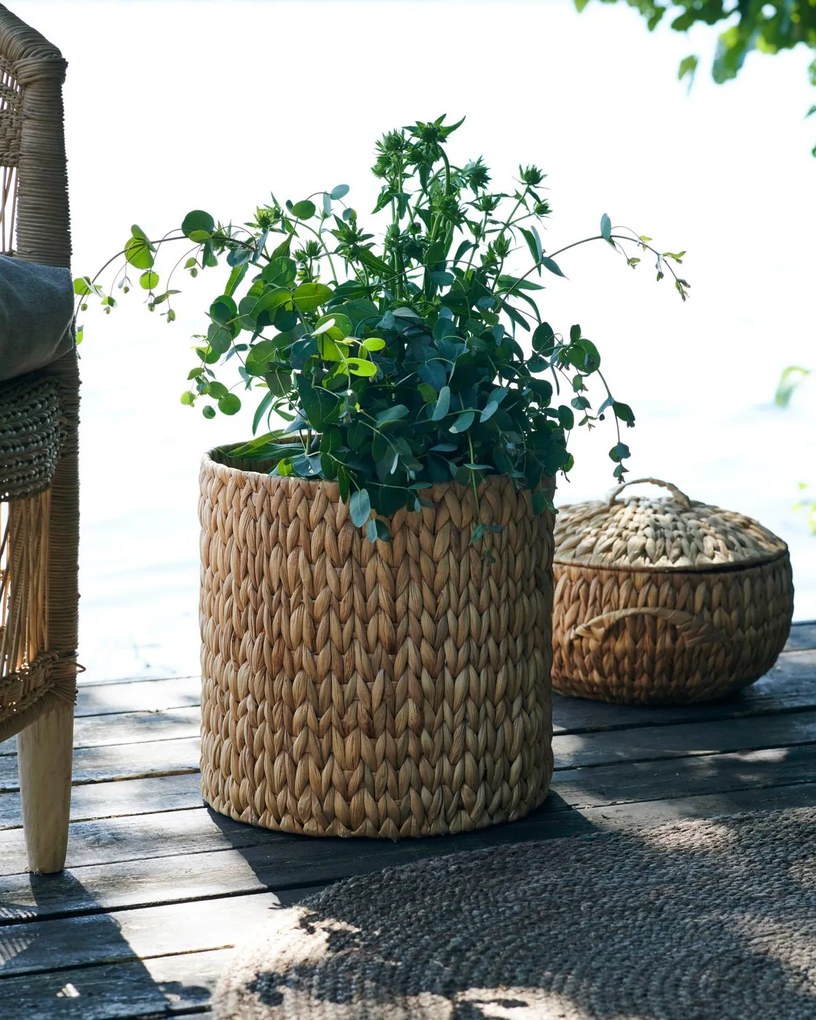 Sada tří košů water hyacinth MUZZA