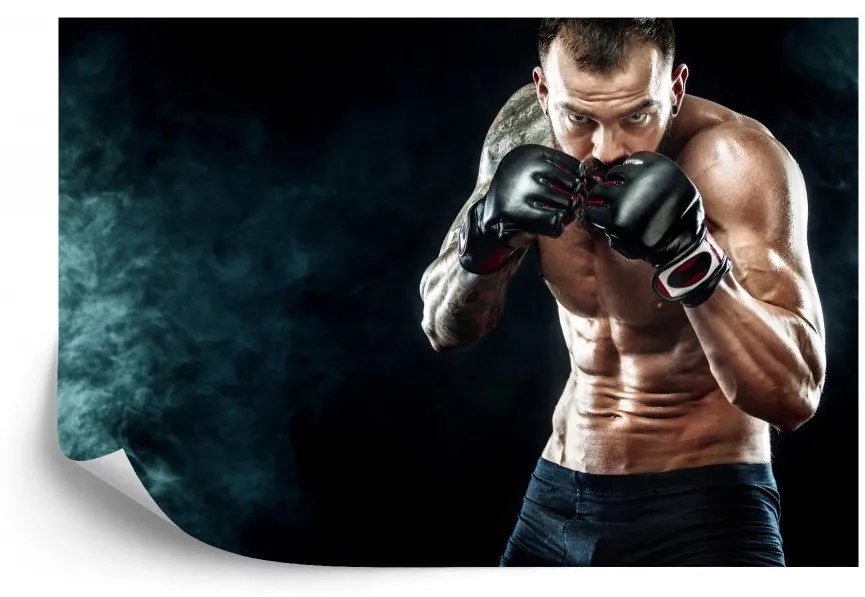 Fototapeta Soustředěný Boxer Hladký vinyl 368x280