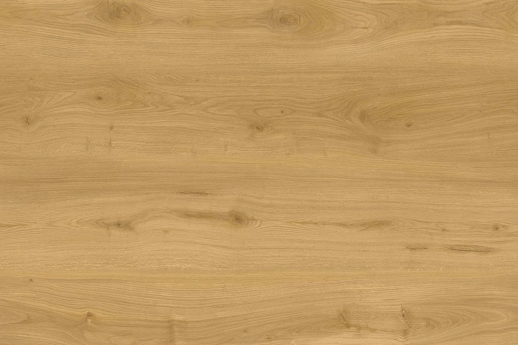 XXXLutz VINYLOVÁ PODLAHA (m²) přírodní barvy Econfloor - Vinylové podlahy - 0045800006