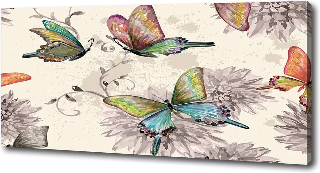 Foto obraz na plátně Motýli a květiny
