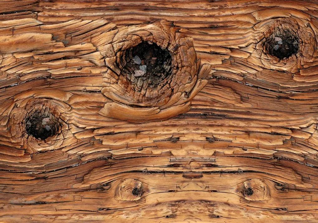 Fototapeta - Detail dřevo (254x184 cm)
