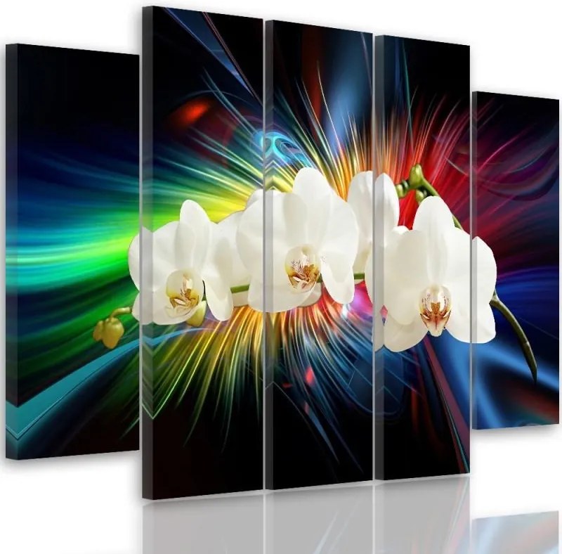CARO Obraz na plátně - White Orchid 100x70 cm