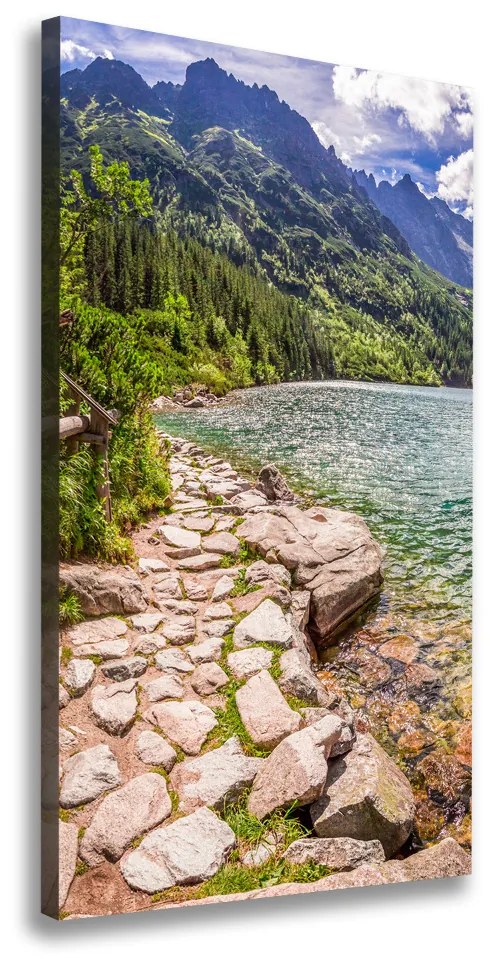 Wallmuralia Vertikální Foto obraz na plátně Mořské oko Tatry 50x100