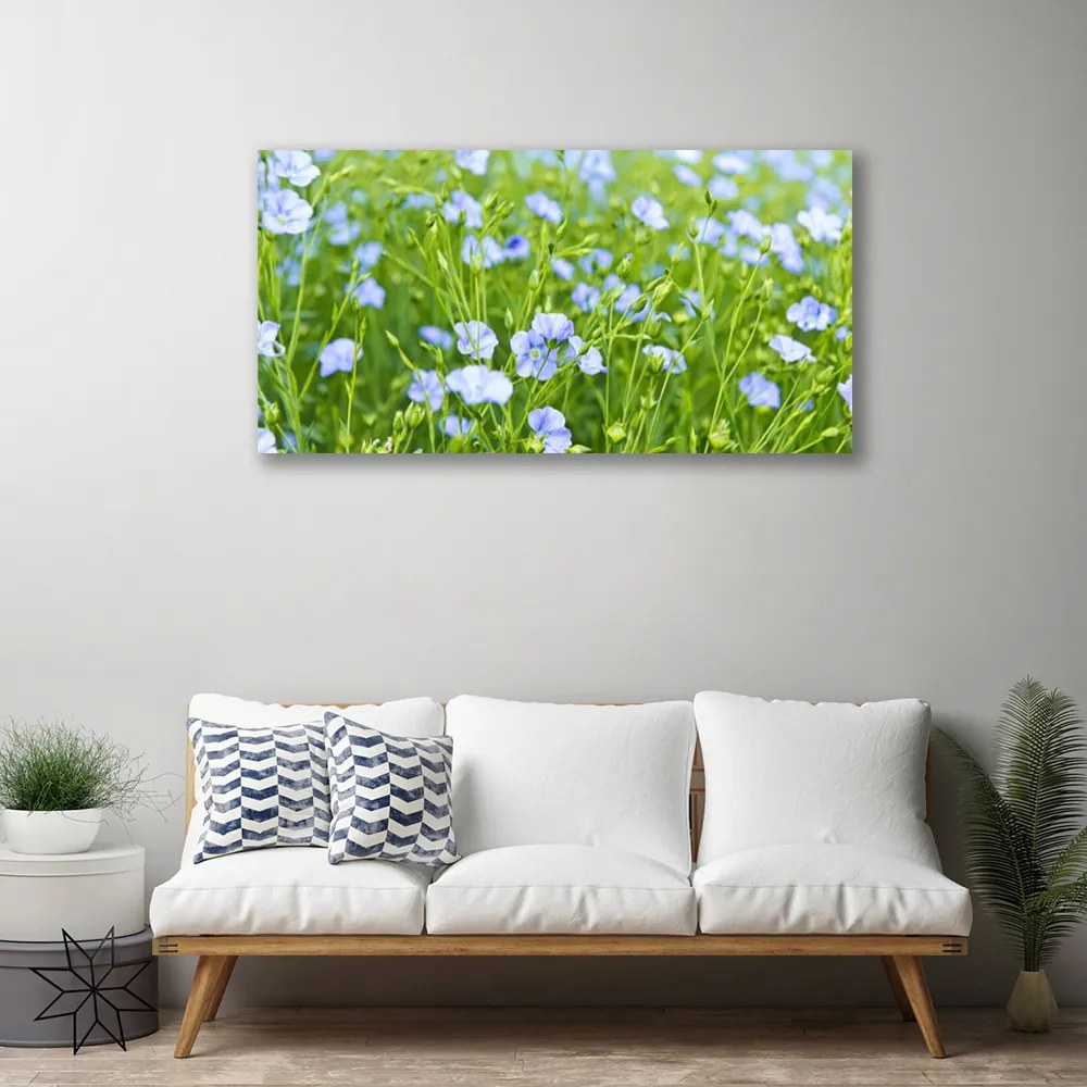 Obraz na plátně Květiny Tráva Rostlina Příroda 125x50 cm