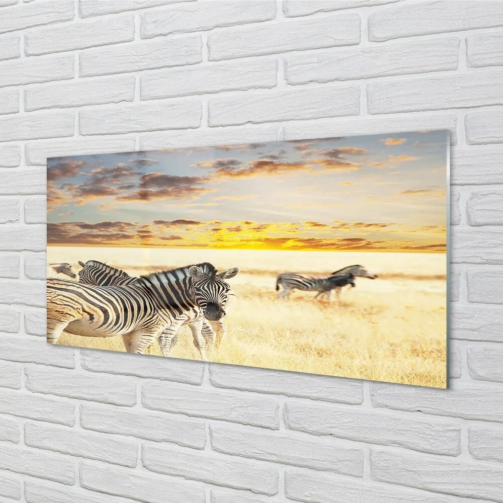 Obraz na skle Zebry pole sunset 125x50 cm