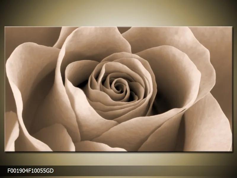 Obraz květu růže (), 40 dalších rozměrů
