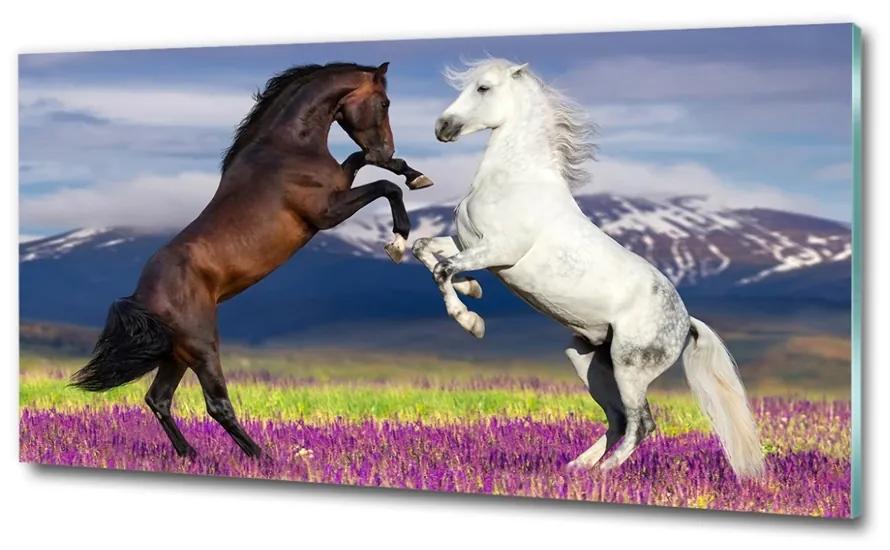 Wallmuralia Foto obraz sklo tvrzené Koně hory 100x50