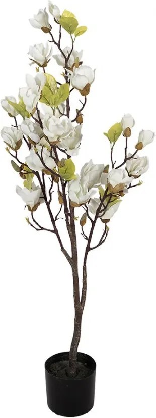 Dekorační stromek Magnolia s bílými květy - 20*15*120 cm