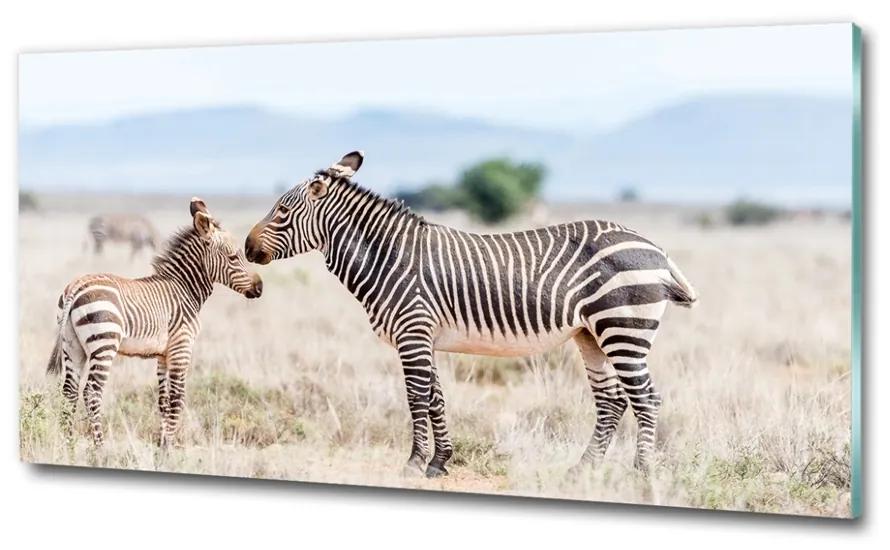 Wallmuralia Foto obraz sklo tvrzené Zebry v horách 100x50
