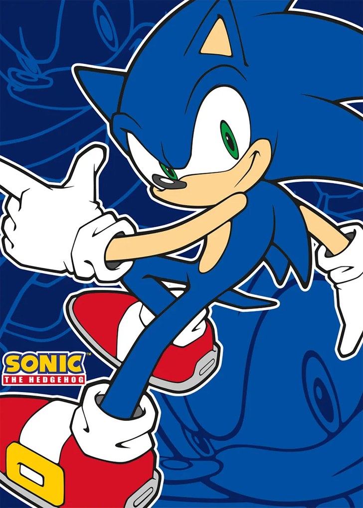 Setino Fleecová deka 100x140 Sonic 2 modrá dětská deka S24