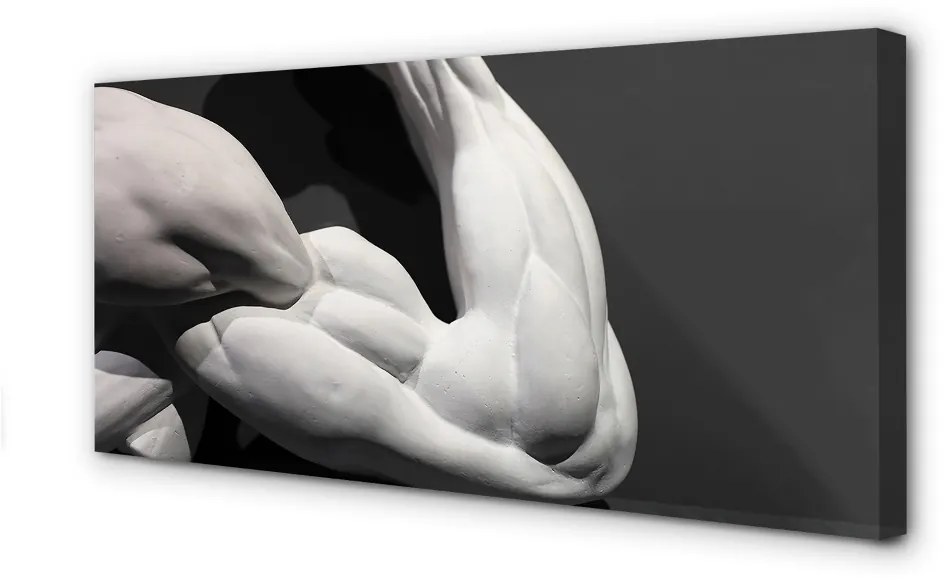 Obrazy na plátně Sval black and white 125x50 cm
