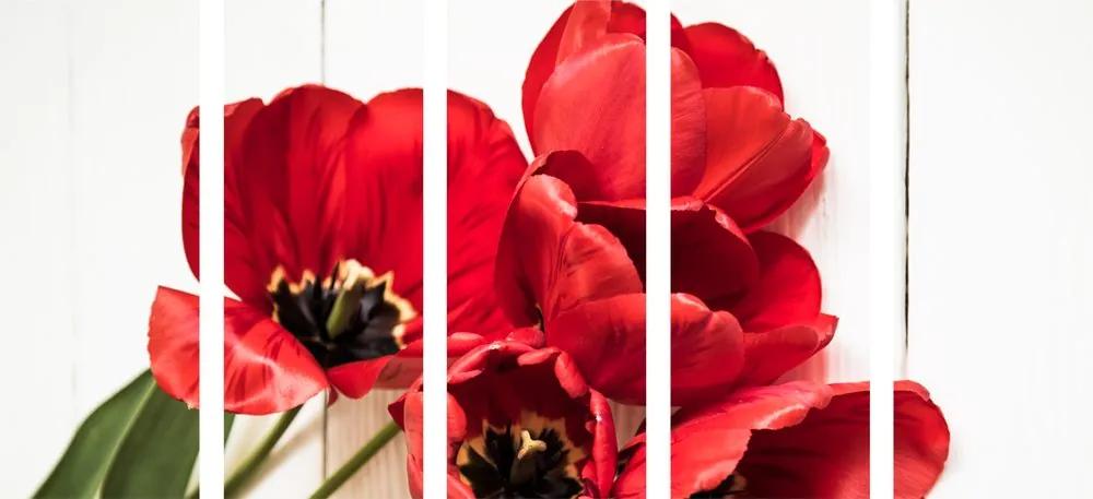 5-dílný obraz červené tulipány v rozkvětu Varianta: 200x100