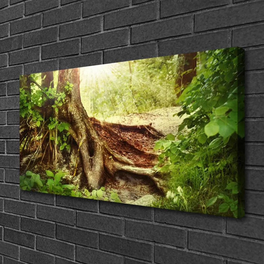 Obraz na plátně Strom Kmen Příroda Les 140x70 cm
