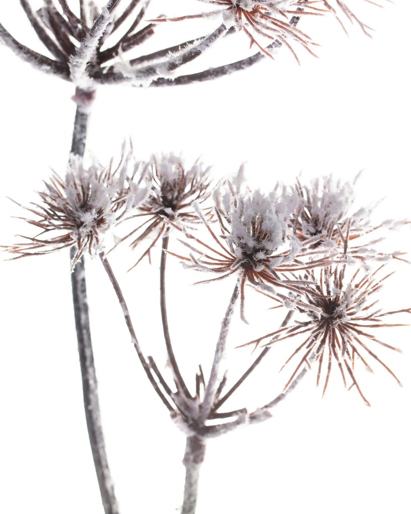 Větvička Thistle white 100cm