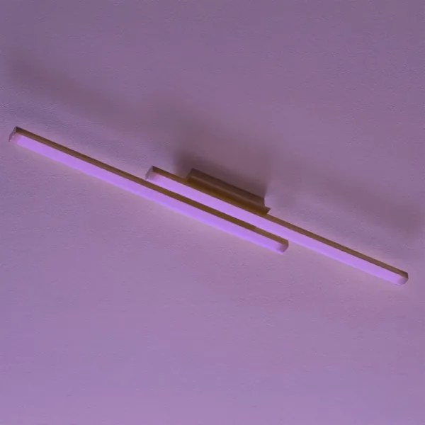 Eglo 97906 - LED RGBW Stmívatelný přisazený lustr FRAIOLI-C LED/34W/230V