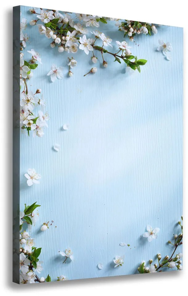 Wallmuralia Foto obraz canvas Květy višně 70x100 cm