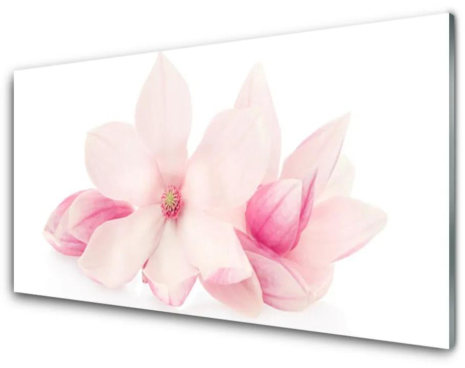 Plexisklo-obraz Květiny Plátky Rostlina Příroda 140x70cm