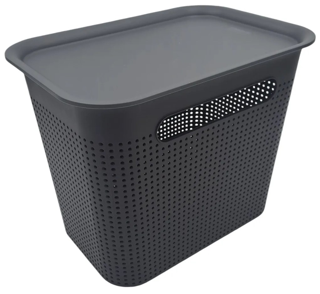 Rotho Úložný box s madly BRISEN 7l, 26x18x21cm, černý