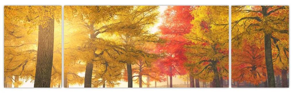 Obraz podzimních stromů (170x50 cm)