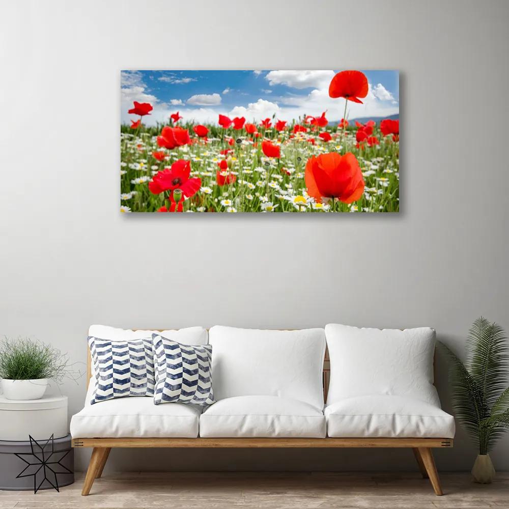 Obraz na plátně Louka Květiny Příroda 140x70 cm