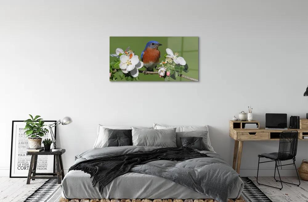 Obraz na skle Květiny barevné papoušek 140x70 cm