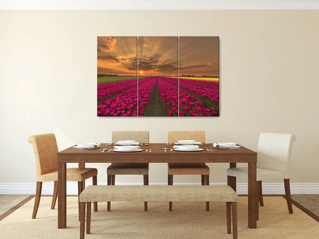 Malvis ® Vícedílný obraz - Záplava tulipánů Velikost (šířka x výška): 120x80 cm