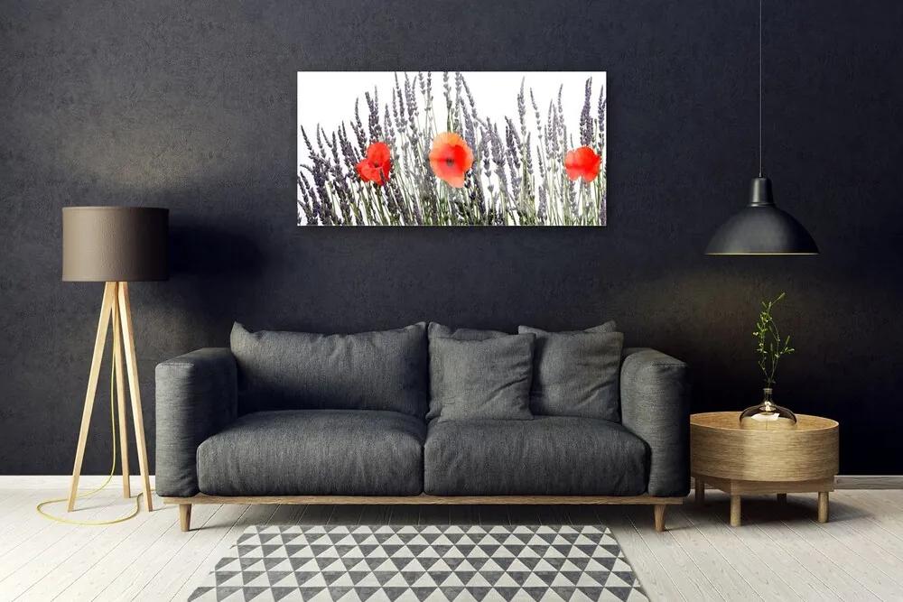 Obraz na skle Květiny Máky Pole Trávy 140x70 cm