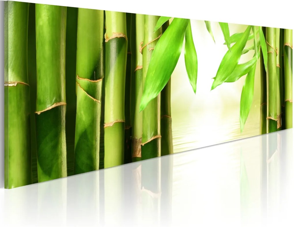 Obraz - Bamboo gate - 120x40
