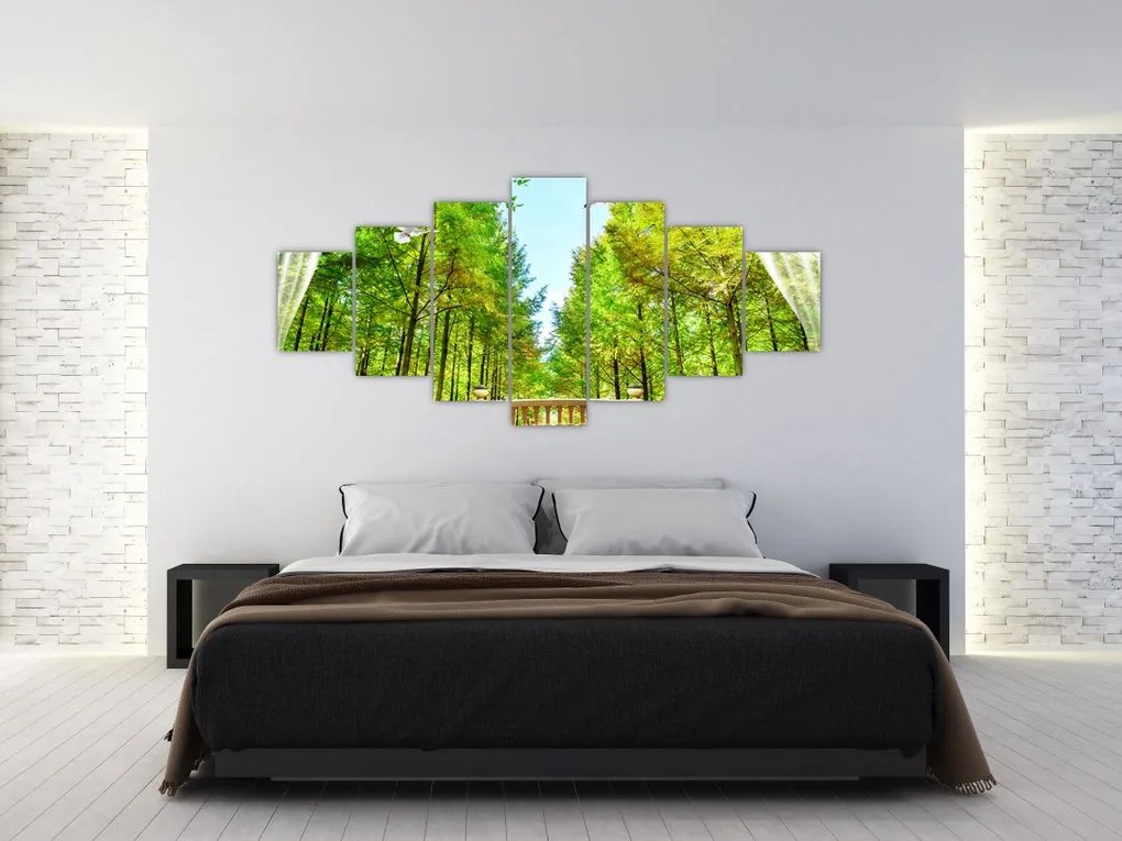 Obraz - Výhled na les (210x100 cm)