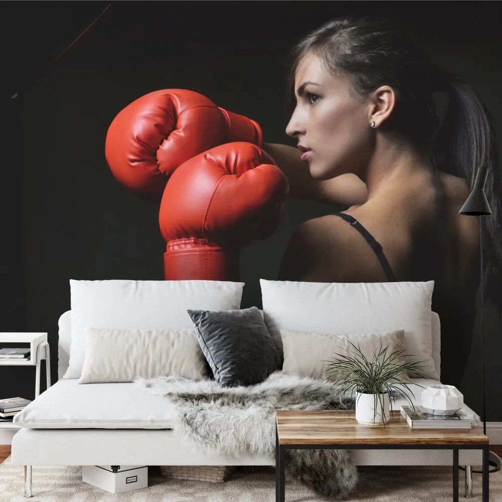 Fototapeta Krásný Boxer Hladký vinyl 405x270