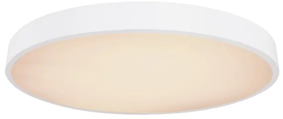 Globo - LED Stmívatelné stropní svítidlo LED/48W/230V + dálkové ovládání