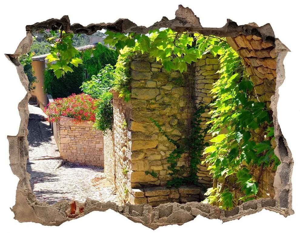 Wallmuralia Fototapeta díra na zeď 3D Romantická ulička 95x64 cm