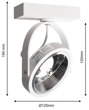 Nástěnné bodové svítidlo LUGAR 1xAR111 - GU10/25W/230V