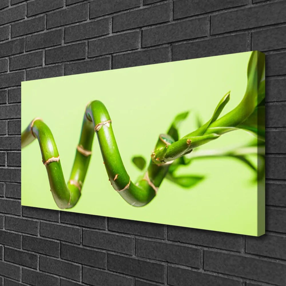 Obraz na plátně Bambus Rostlina Příroda 125x50 cm