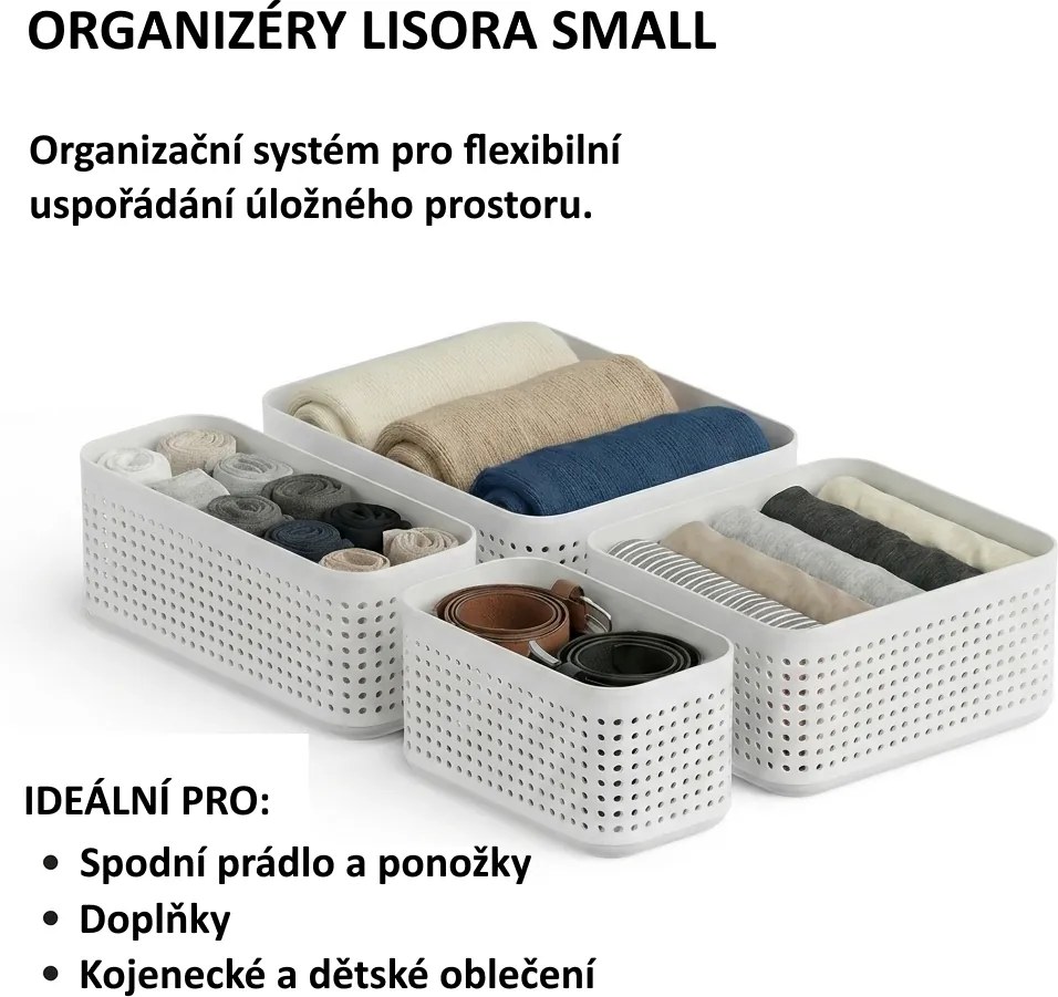 Rotho Úložný box do šuplíku, šatní organizér LISORA MEDIUM, 19 x 20,6 x 10 cm
