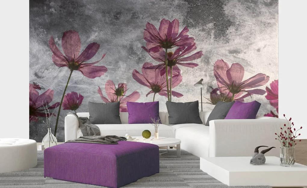 DIMEX | Samolepicí vliesová fototapeta na zeď Abstrakt fialové květy MA-5-0363 | 375 x 250 cm | vícebarevná, fialová, šedá