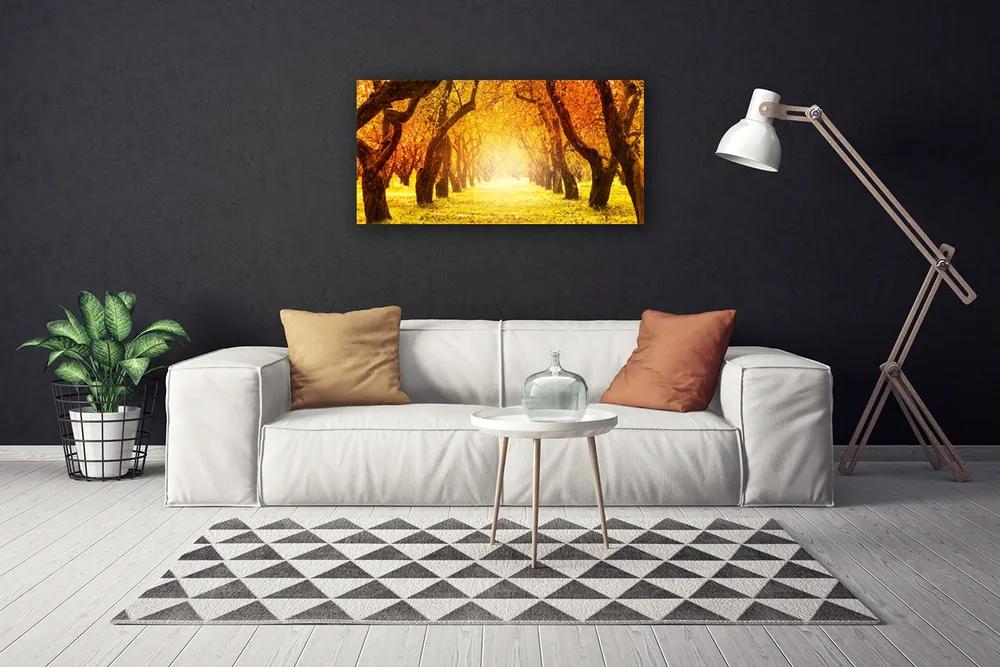 Obraz na plátně Les Stezka Stromy Příroda 140x70 cm
