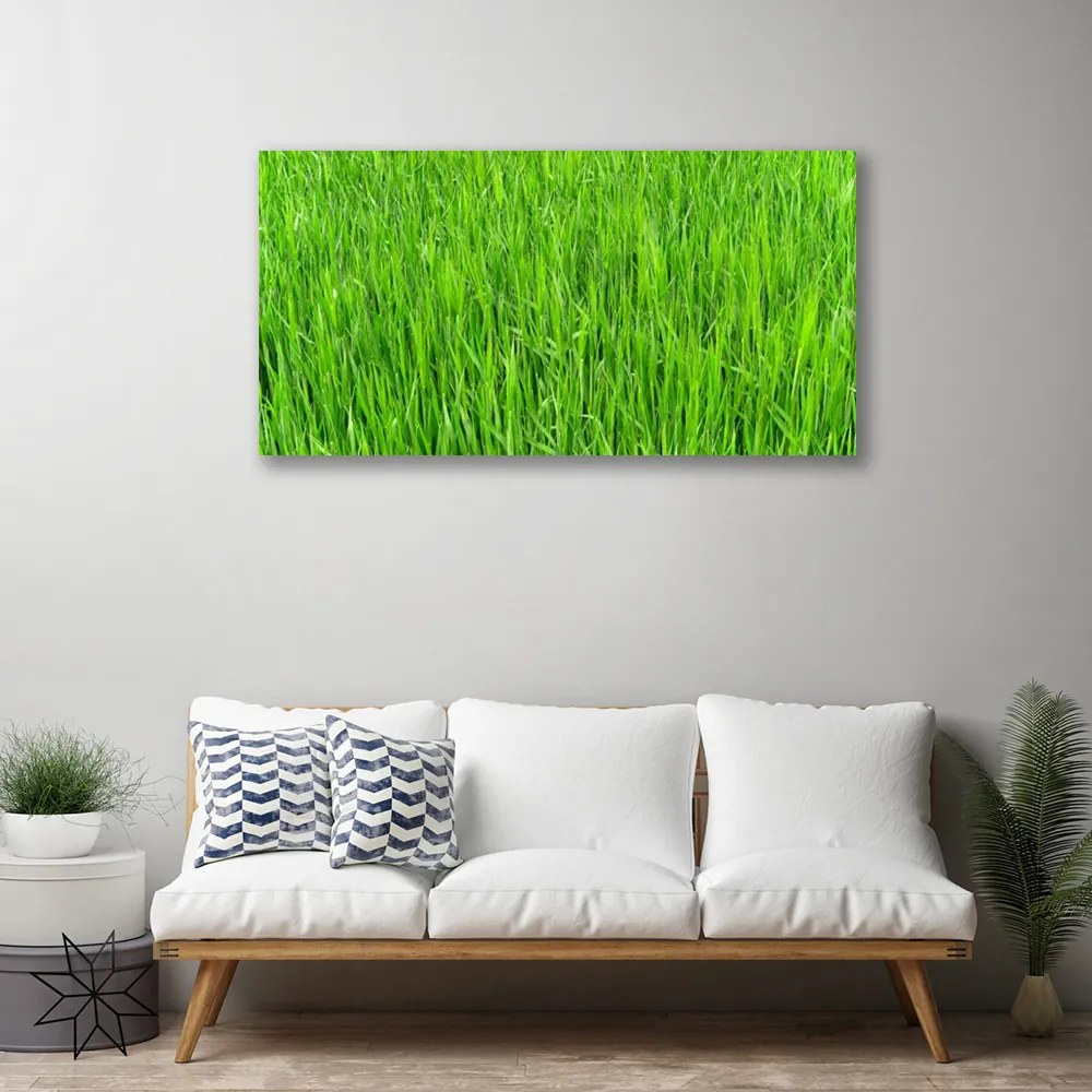 Obraz na plátně Zelená Tráva Příroda Trávník 100x50 cm